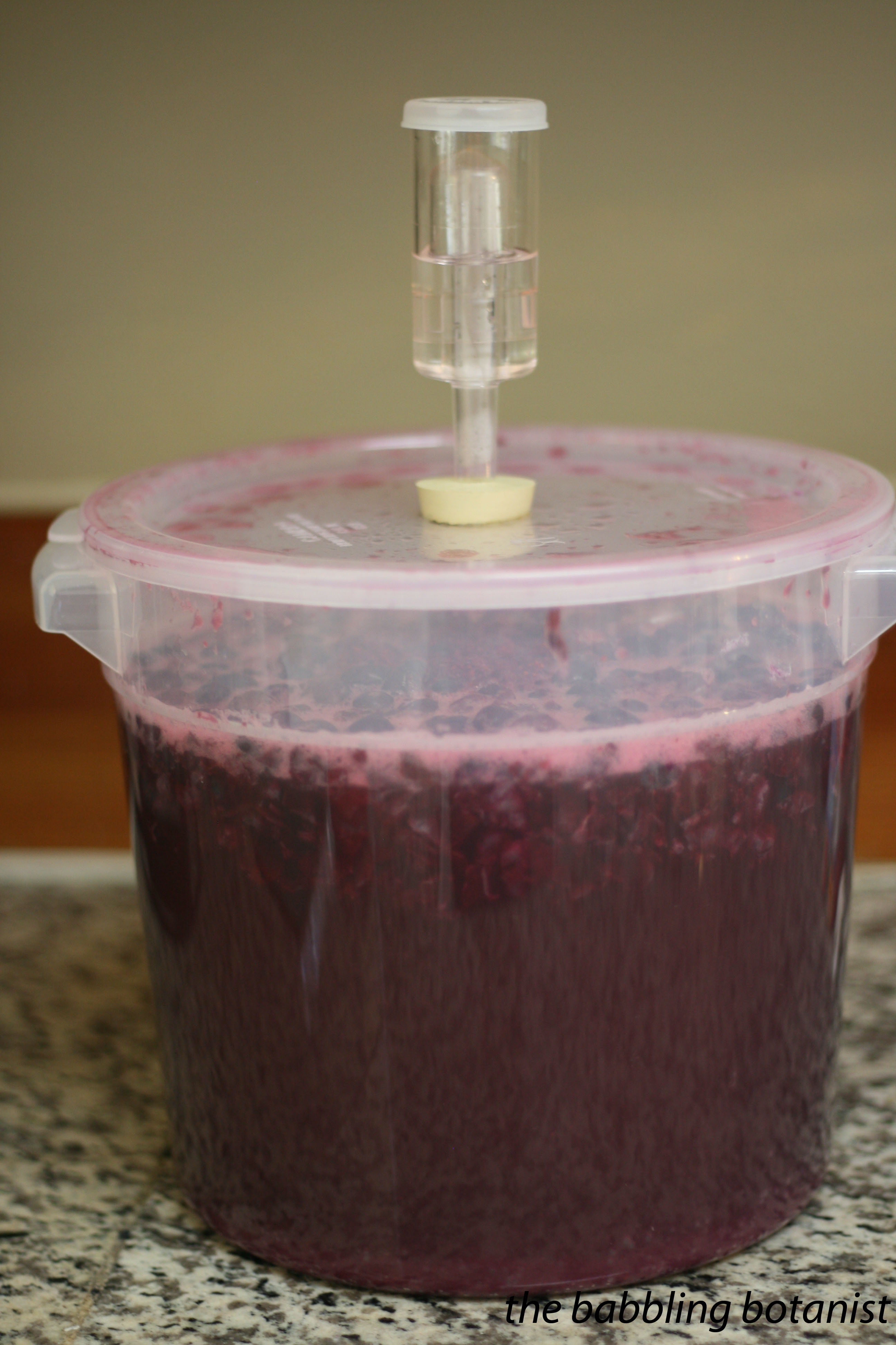 My mini primary fermenter – the babbling botanist