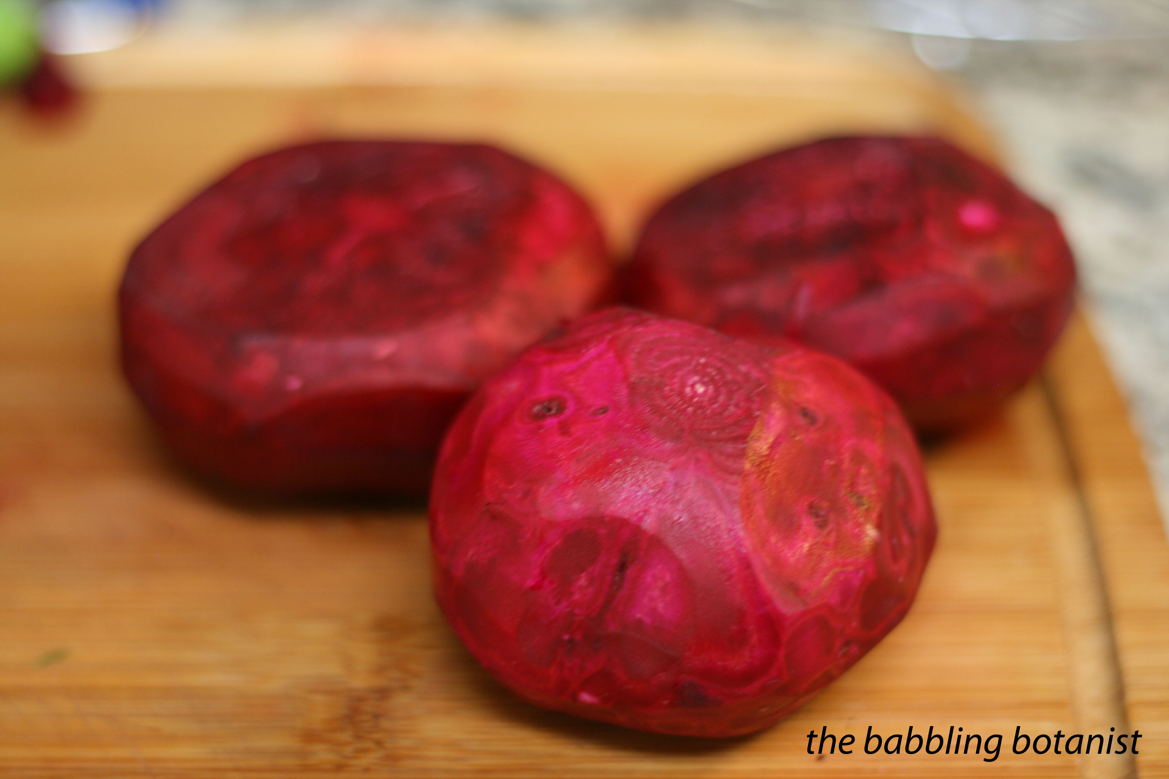Beeeeets – some fun facts and two recipes – the babbling botanist