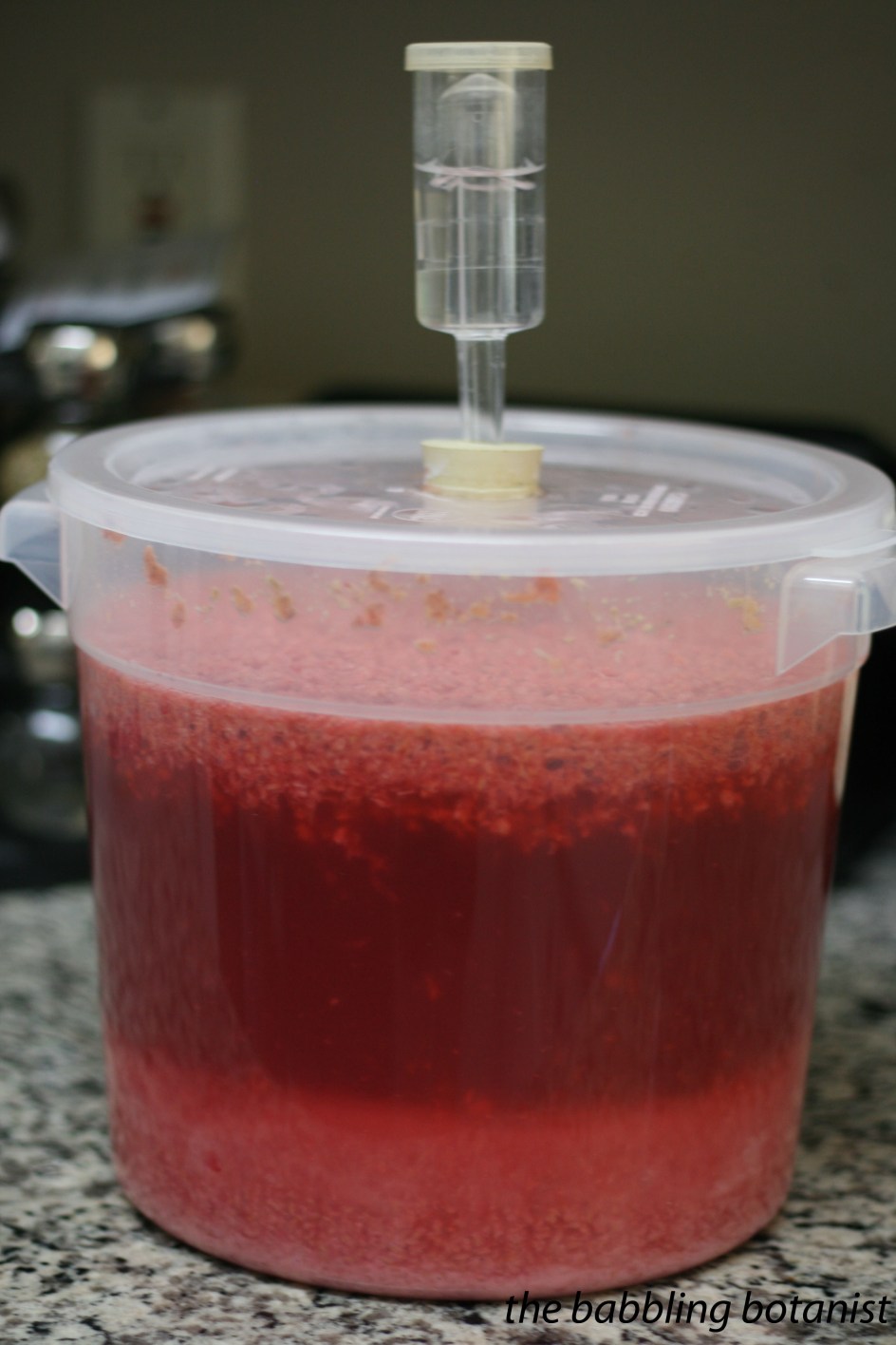 My mini primary fermenter – the babbling botanist