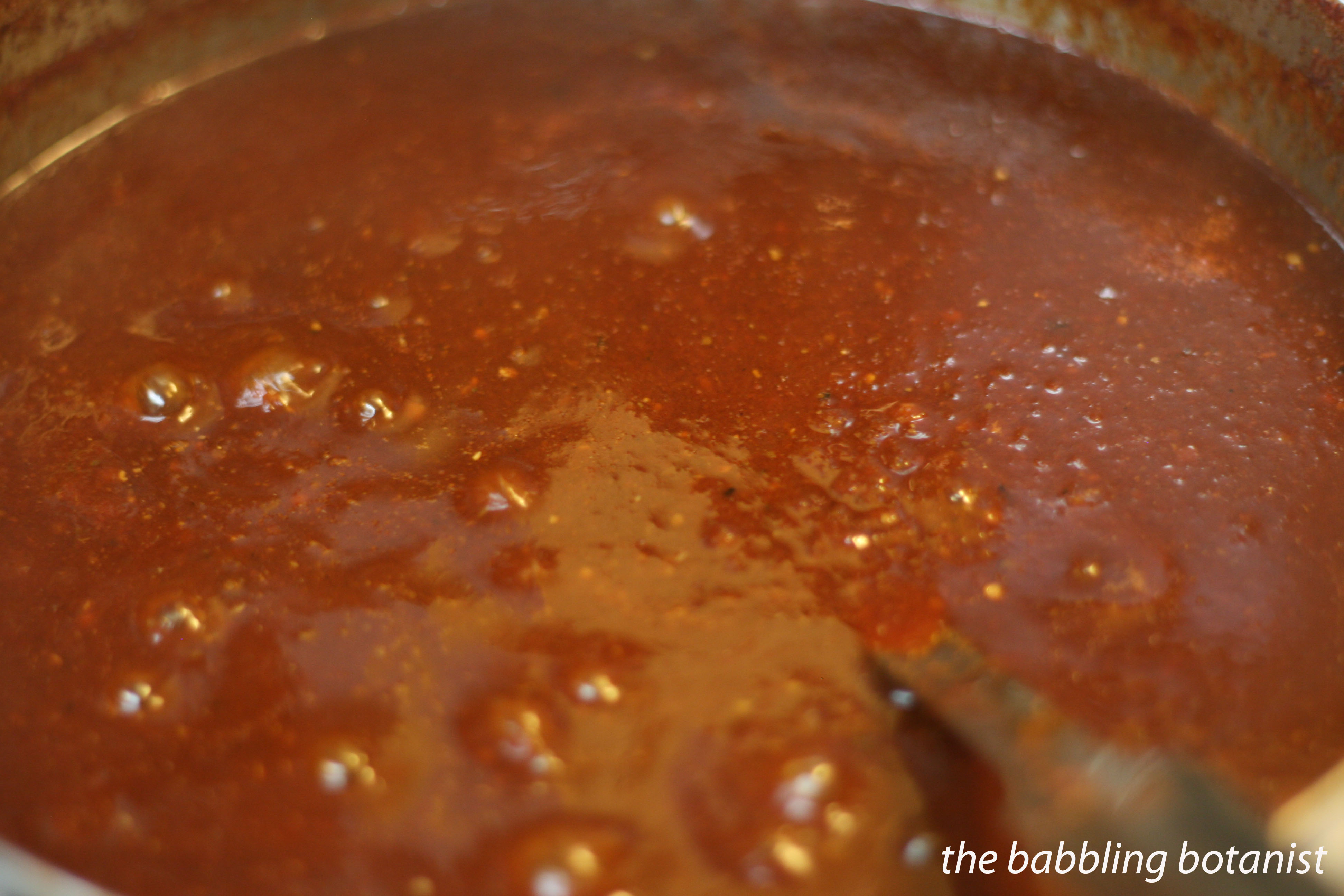 Two in One Barbecue Sauce – the babbling botanist
