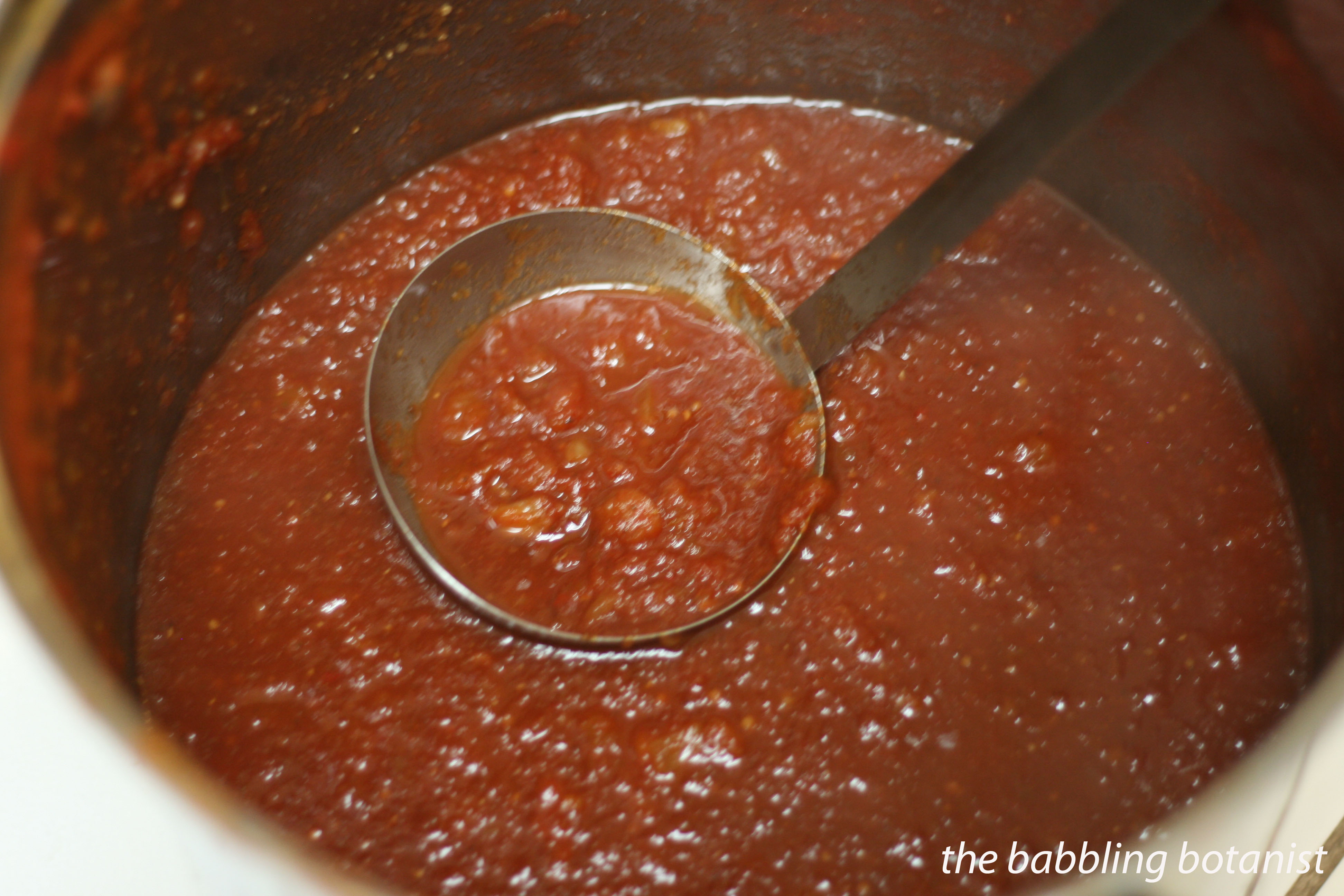 Two in One Barbecue Sauce – the babbling botanist