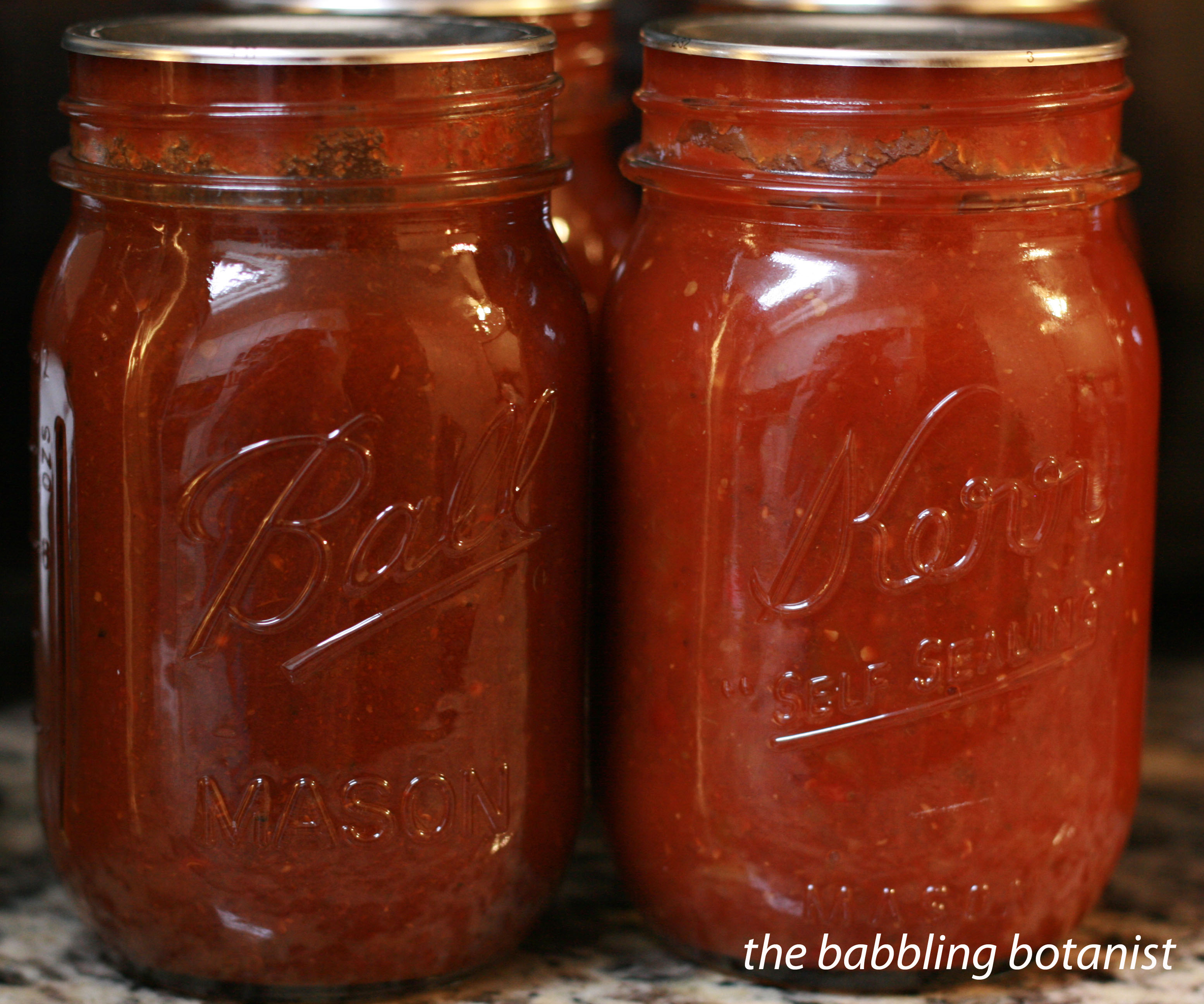 Two in One Barbecue Sauce – the babbling botanist