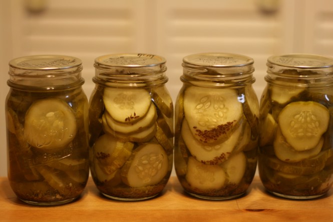 Quick Dill Pickles – low temperature pasteurization and an experiment ...