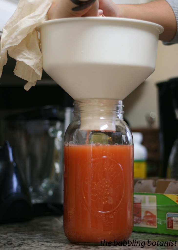 Small Batch Homemade Fruit Wines – the babbling botanist