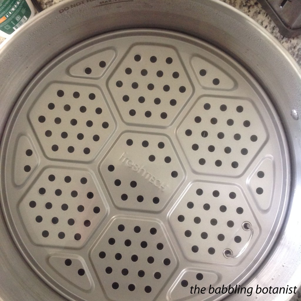 Product Review – Ball FreshTech Electric Water Bath Canner – the ...